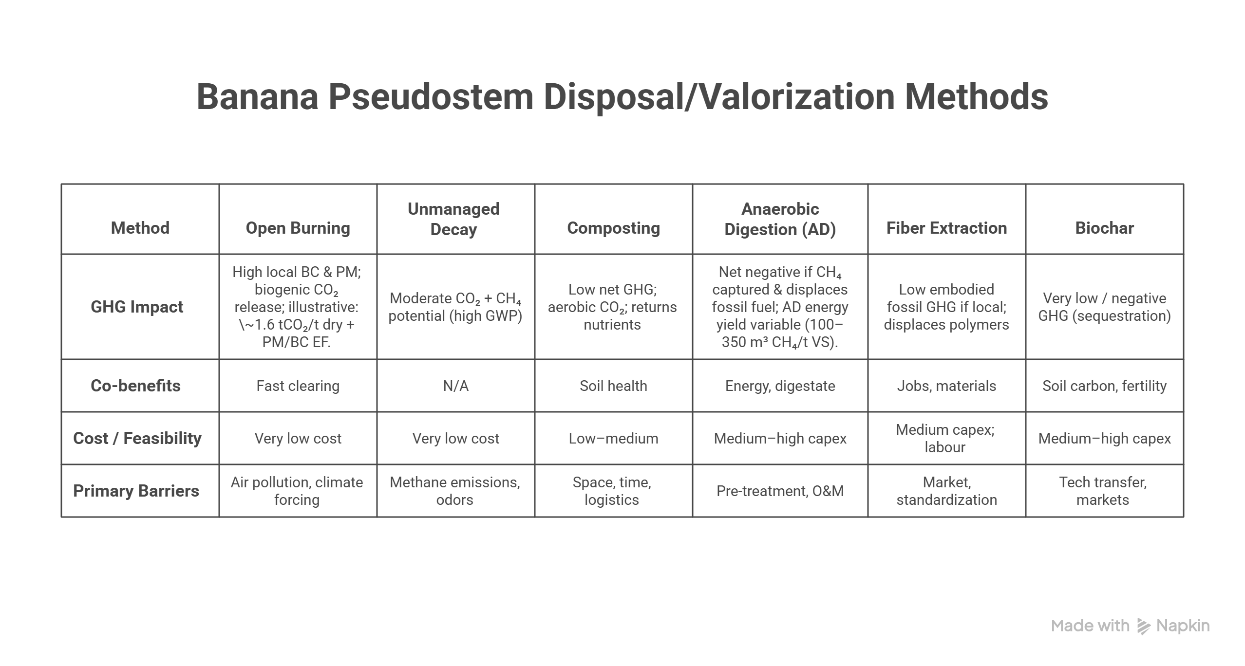 The Agro-Waste Problem: Banana Cultivation, Pseudostem Volumes, and th – The Natural Fiber Company