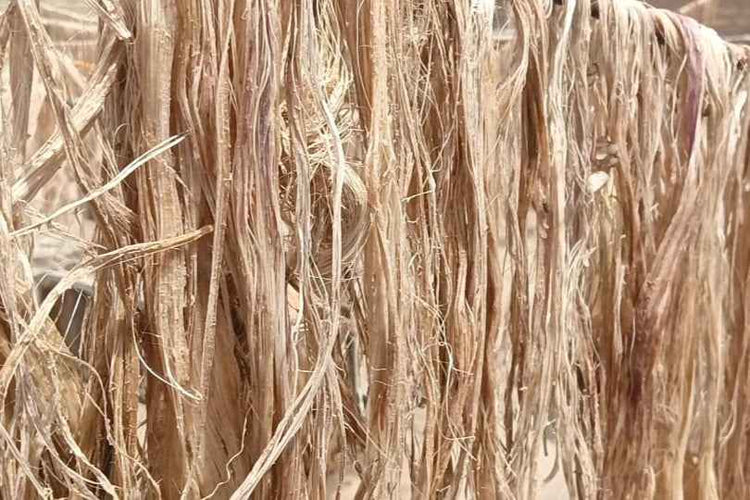 Natural Raw Banana Fibers - The Natural Fiber Company