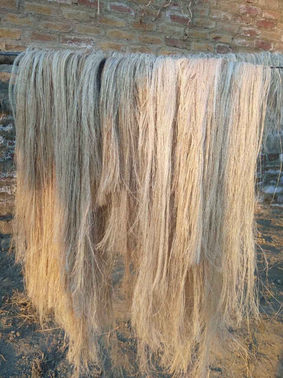 Combed Banana Fiber - The Natural Fiber Company