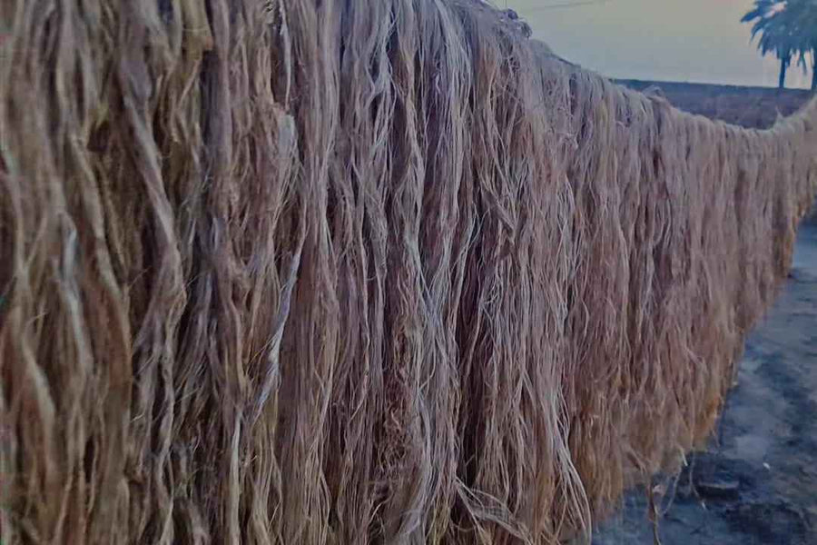 Natural Raw Banana Fibers - The Natural Fiber Company